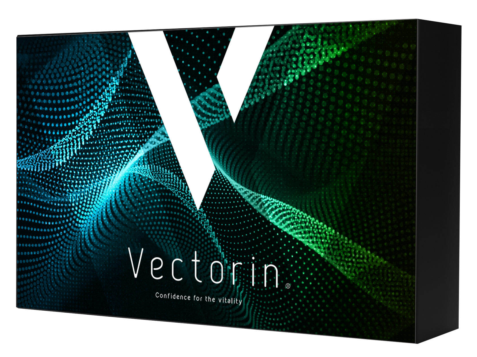 Vectorin – Vectorin